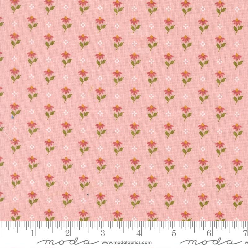 Wild Honey Carnation 5252-12 - Pohlar Fabrics